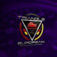 European Car Repair Raleigh - Triangle European